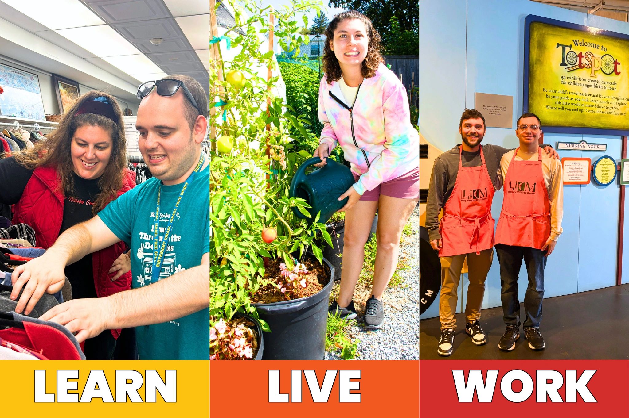 Supported Employment